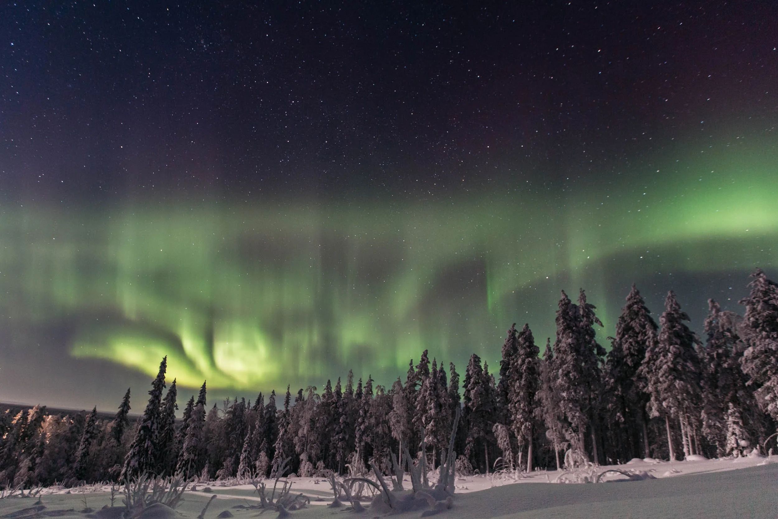 How to photograph the Northern Lights — Bronwyn Townsend