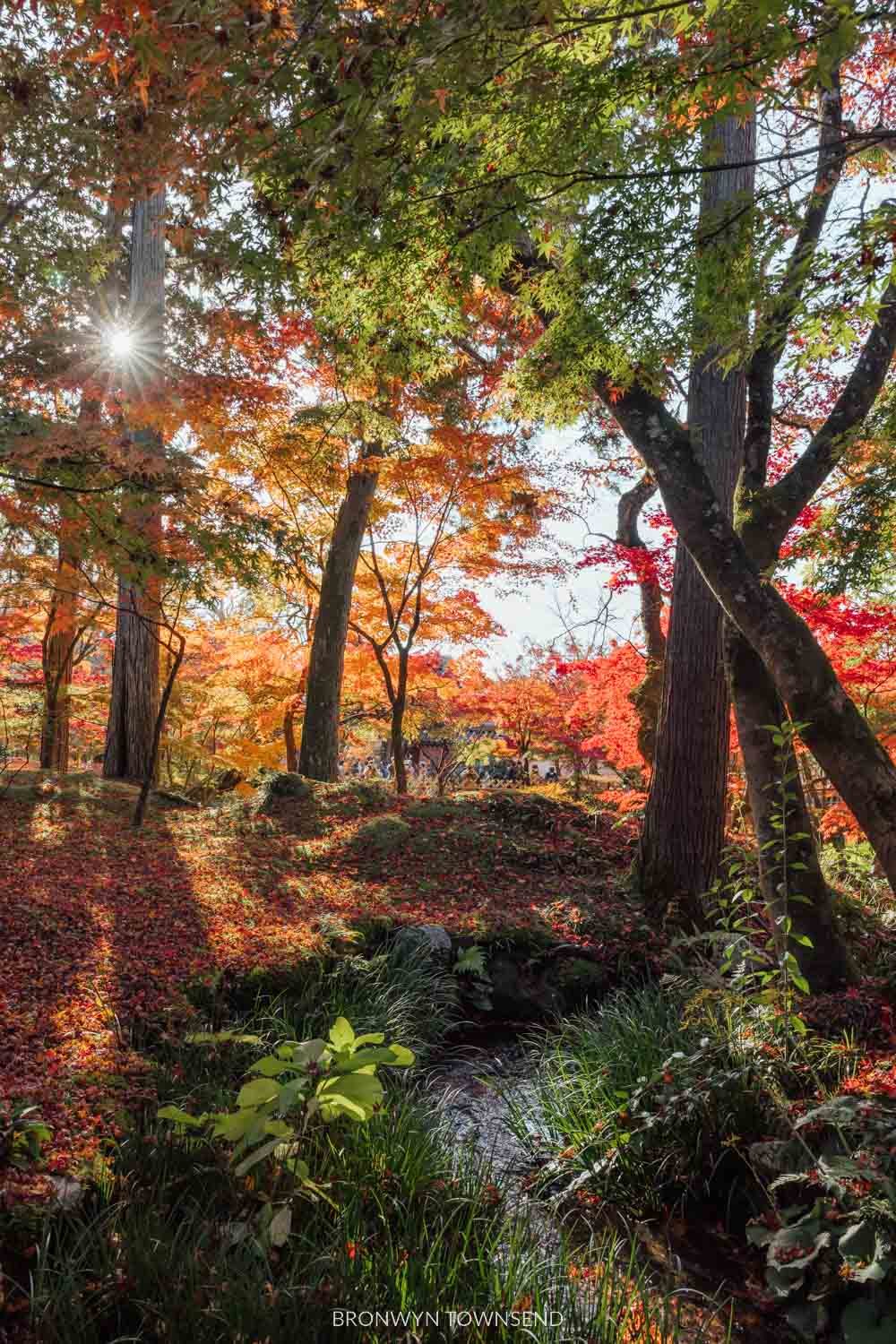 Japan autumn packing list: What to wear in fall — Bronwyn Townsend