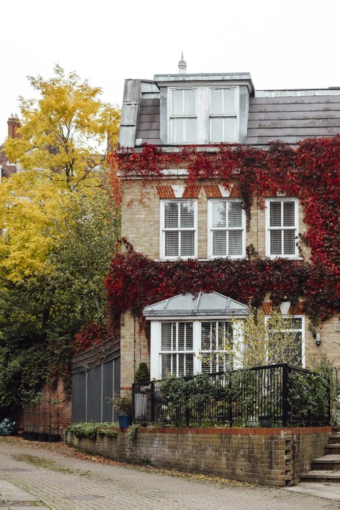 Autumn in London: Where to find the best fall colours (2025) — Bronwyn ...