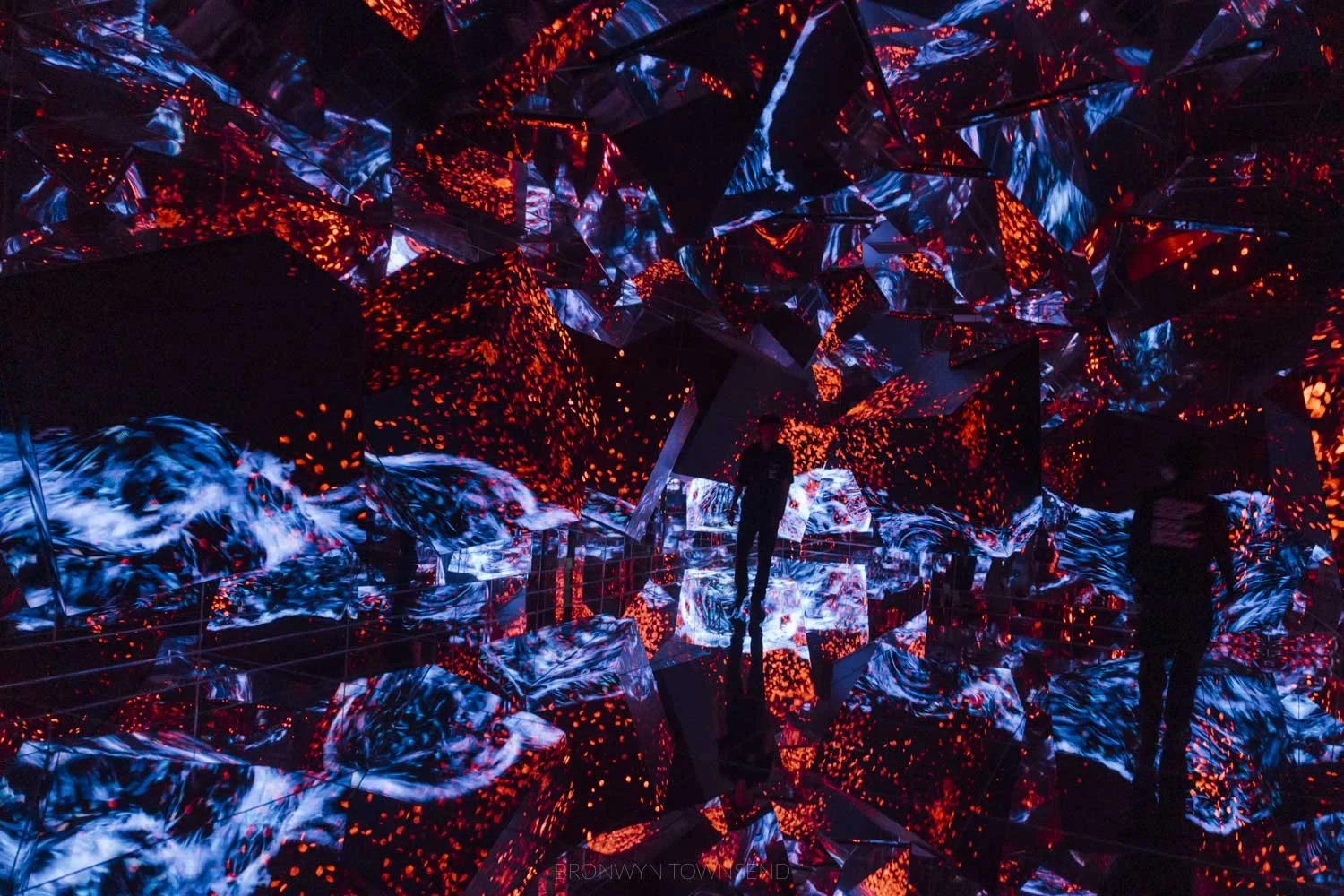 TeamLab Borderless vs TeamLab Planets: Which is better for you ...