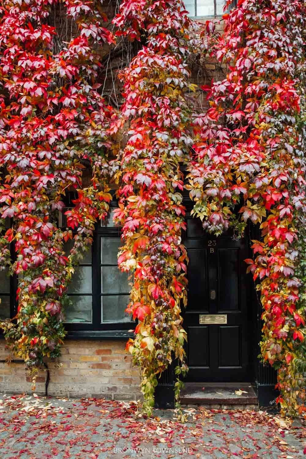 Autumn in London: Where to find the best fall colours 2023 — Bronwyn ...