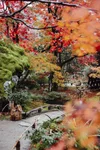 Five-Day Kyoto Itinerary: Seeing the Best of Kyoto — Bronwyn Townsend
