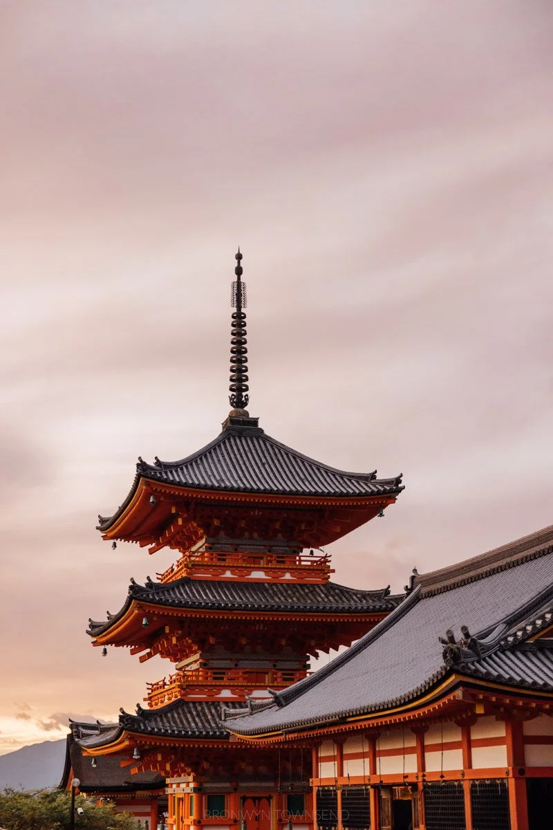 Kyoto in November: The Perfect Fall Travel Guide — Bronwyn Townsend