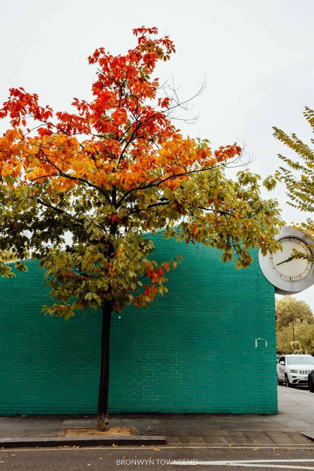 Autumn in London: Where to find the best fall colours 2023 — Bronwyn ...