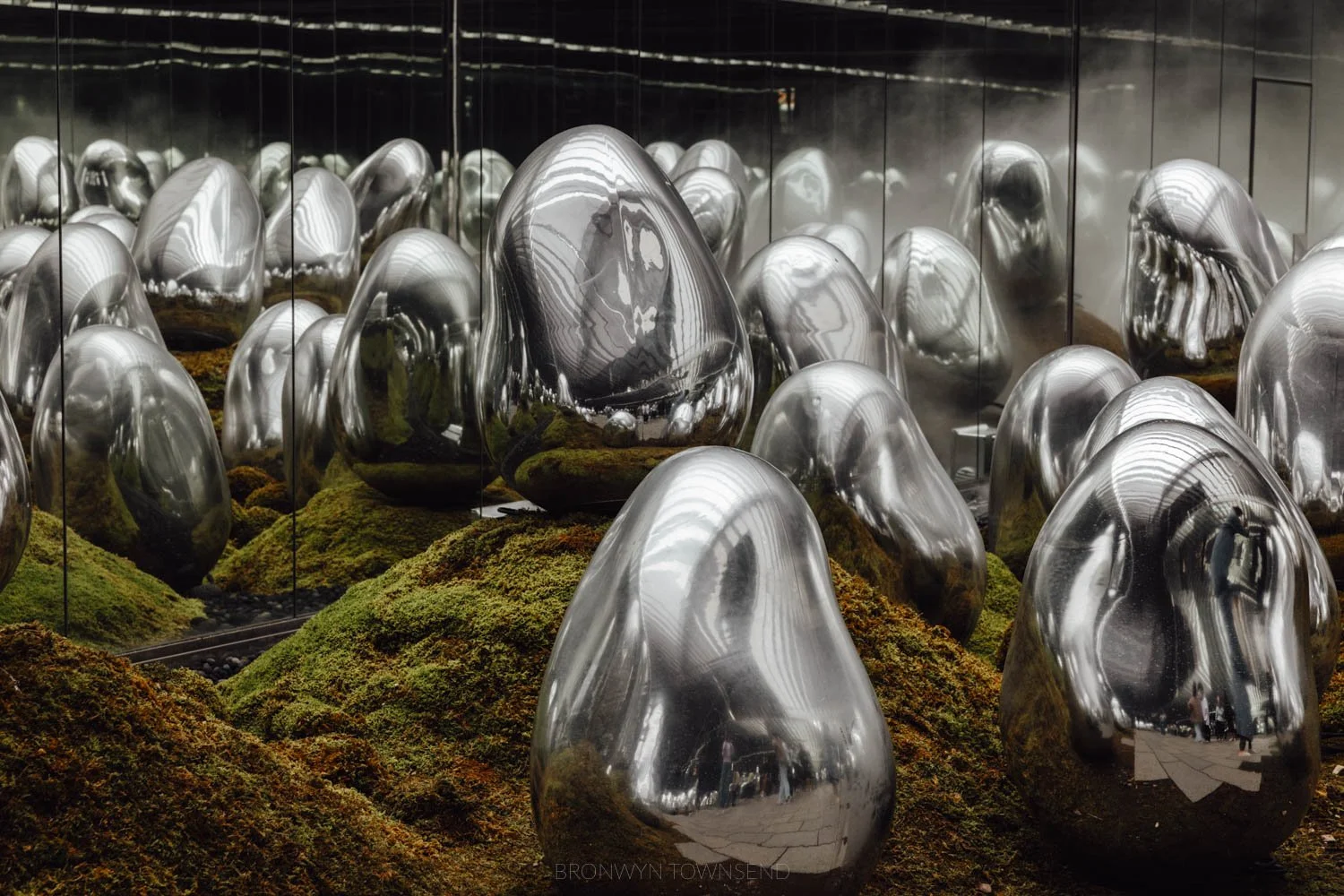 TeamLab Borderless vs TeamLab Planets: Which is better for you ...
