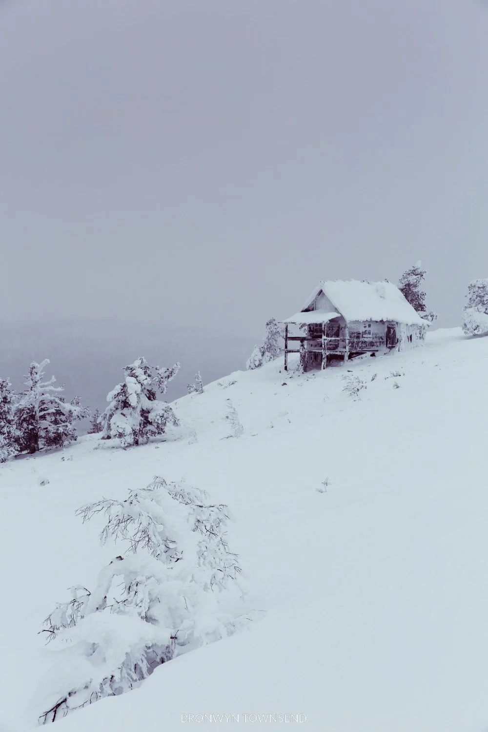 12 Things to do in Levi, Finland in winter — Bronwyn Townsend