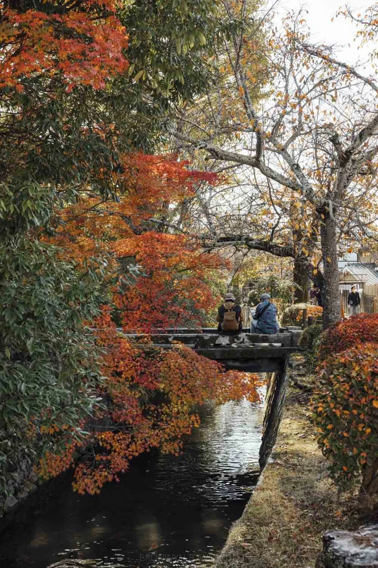 Five-Day Kyoto Itinerary: Seeing the Best of Kyoto — Bronwyn Townsend
