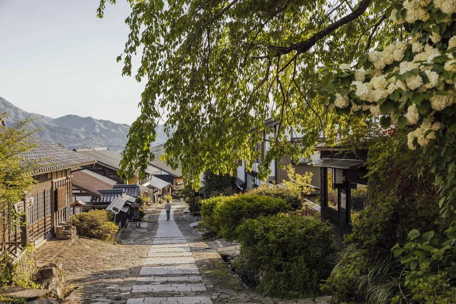 A Complete Guide to Hiking the Magome to Tsumago Trail — Bronwyn Townsend