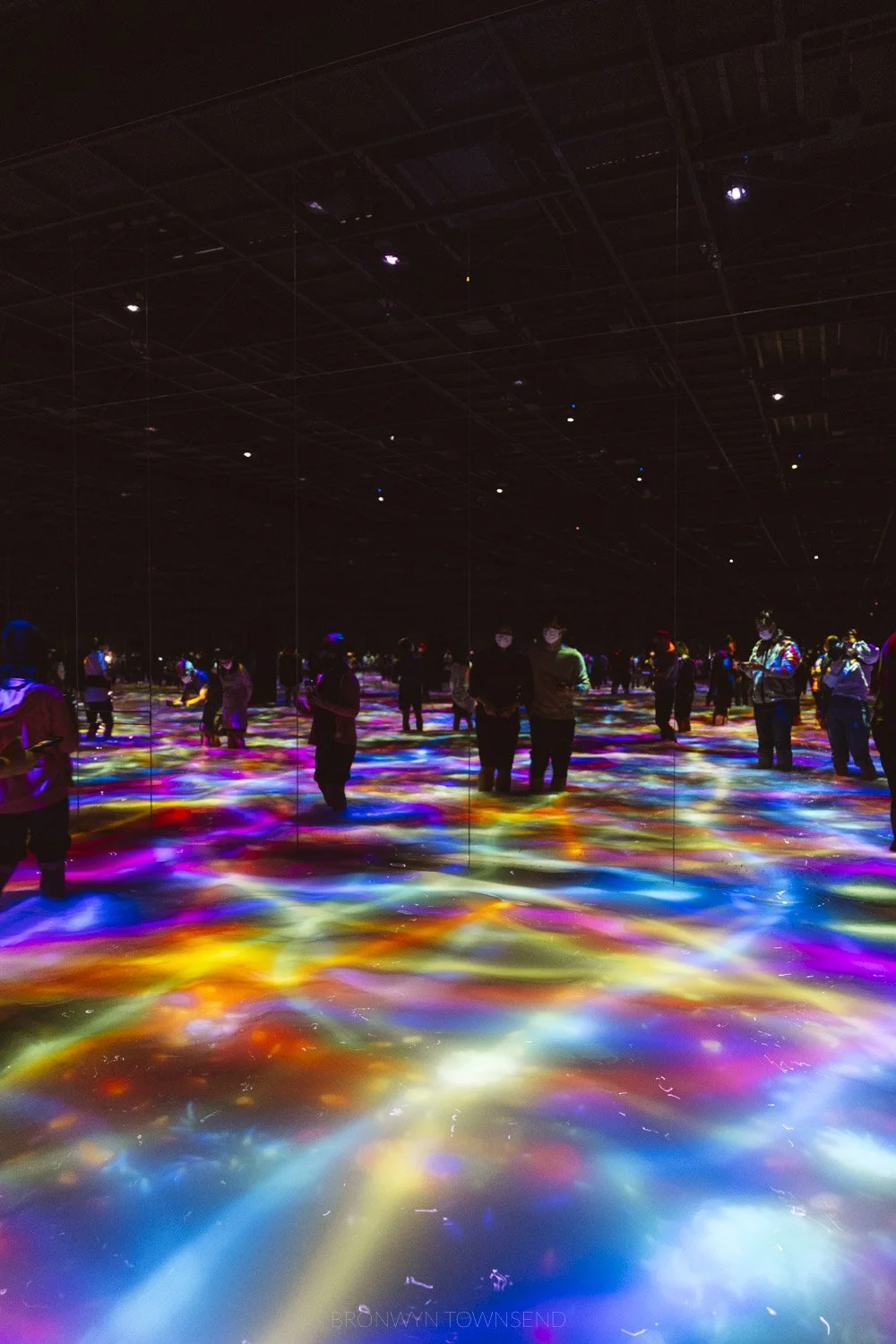 TeamLab Borderless vs TeamLab Planets: Which is better for you ...