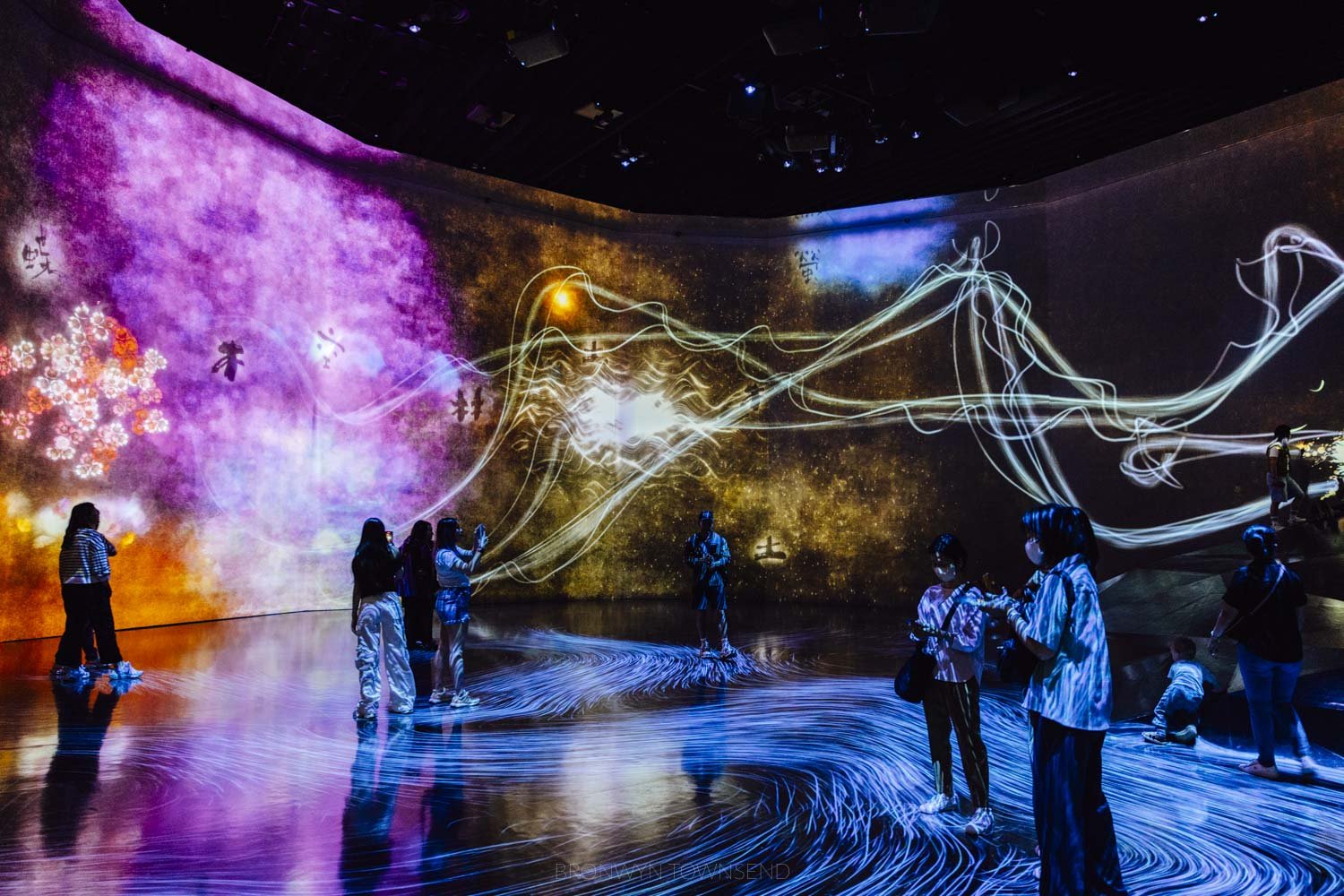 TeamLab Borderless vs TeamLab Planets: Which is better for you? — Bronwyn Townsend