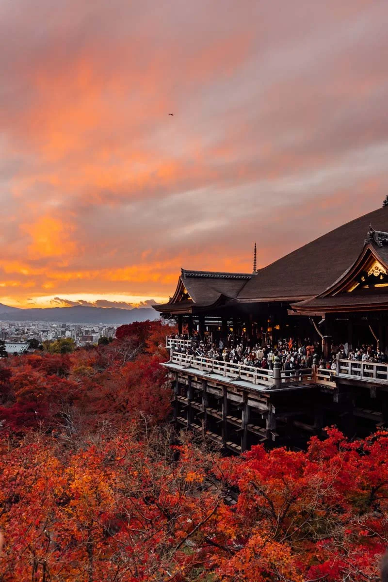 Kyoto in November: The Perfect Fall Travel Guide — Bronwyn Townsend