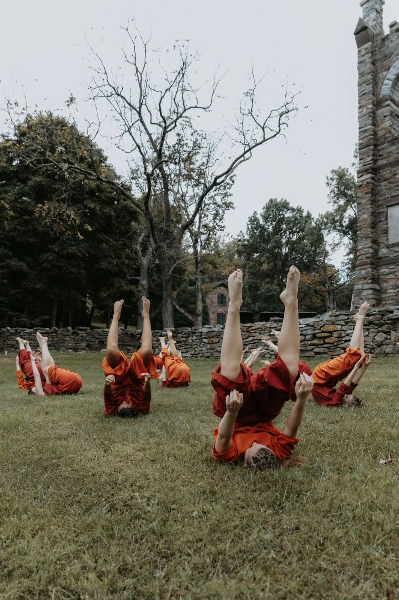 SEED — Bloom Dance Studio