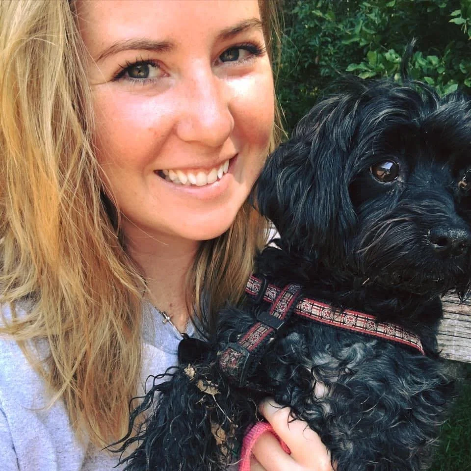 Spaw Day Mobile Grooming