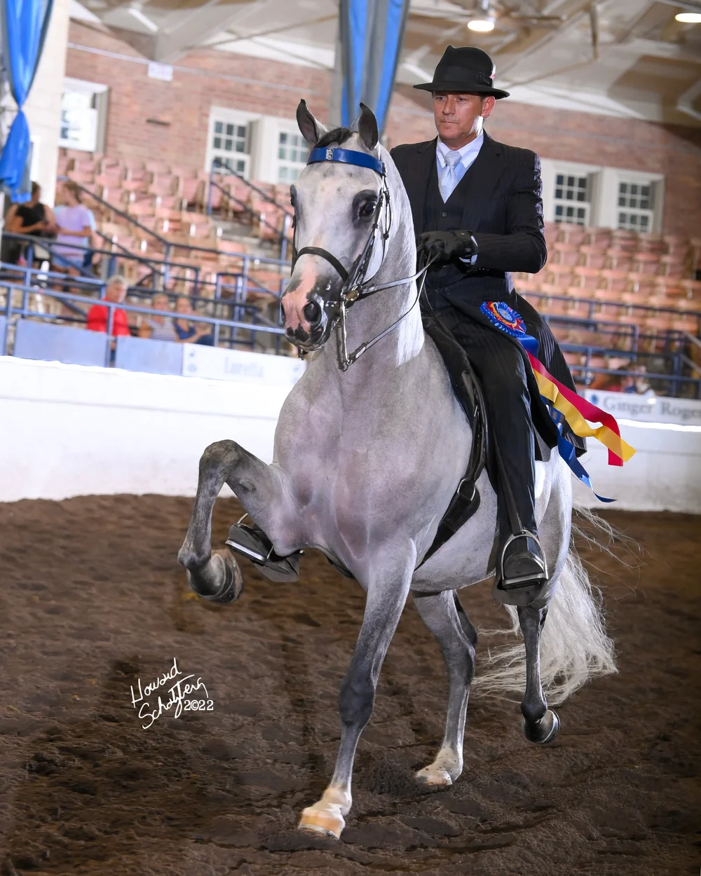 Our Story — ChriShan Park