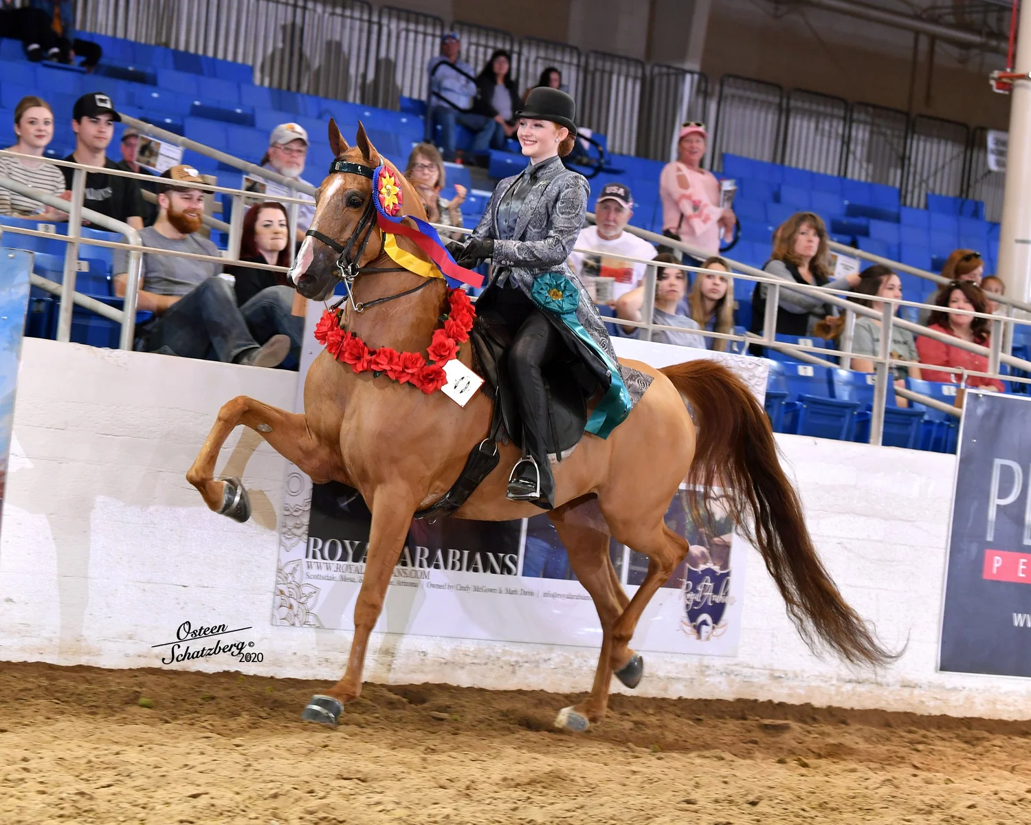 Stallions — ChriShan Park