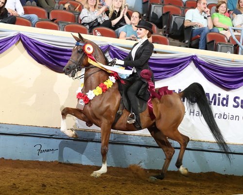 Country Pleasure — ChriShan Park