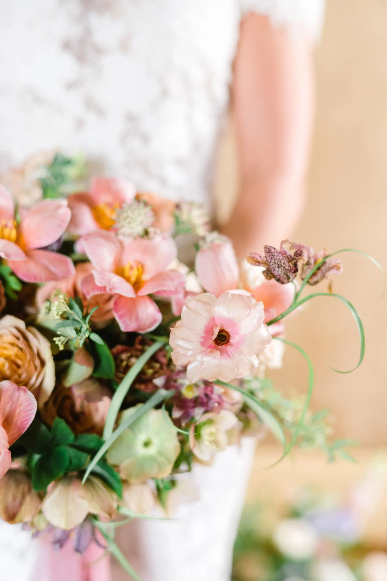 Rose House Editorial | Pittsburgh, Pennsylvania