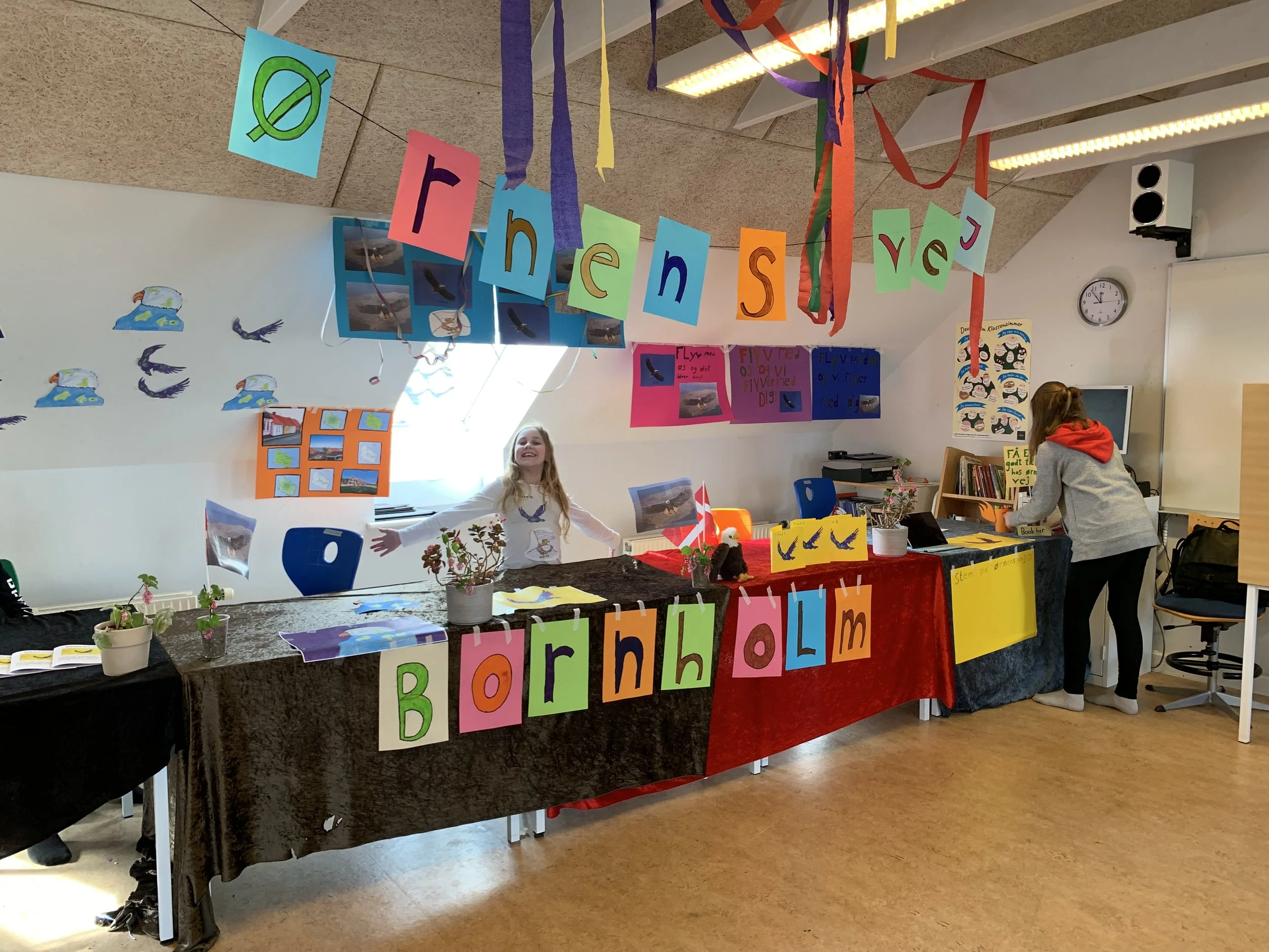 Mellemtrin — Aller Friskole