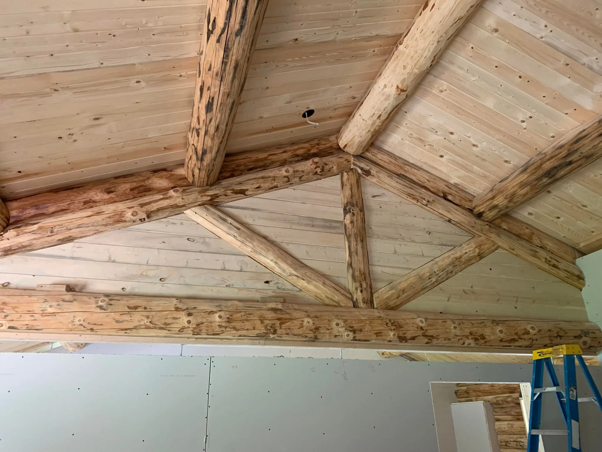 You dream it, we build it.