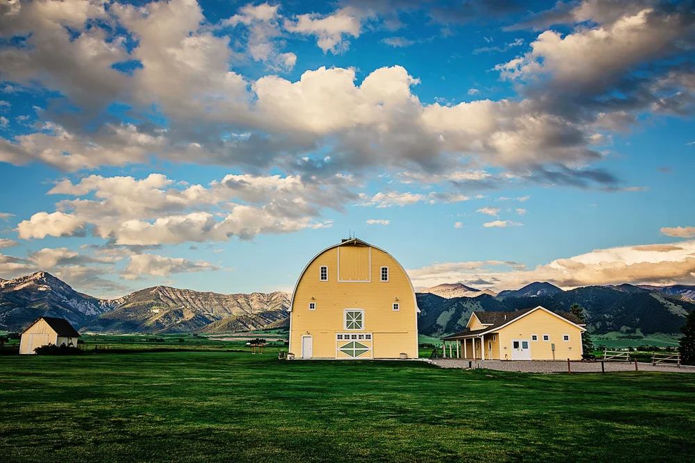 The Barn — Big Yellow Barn