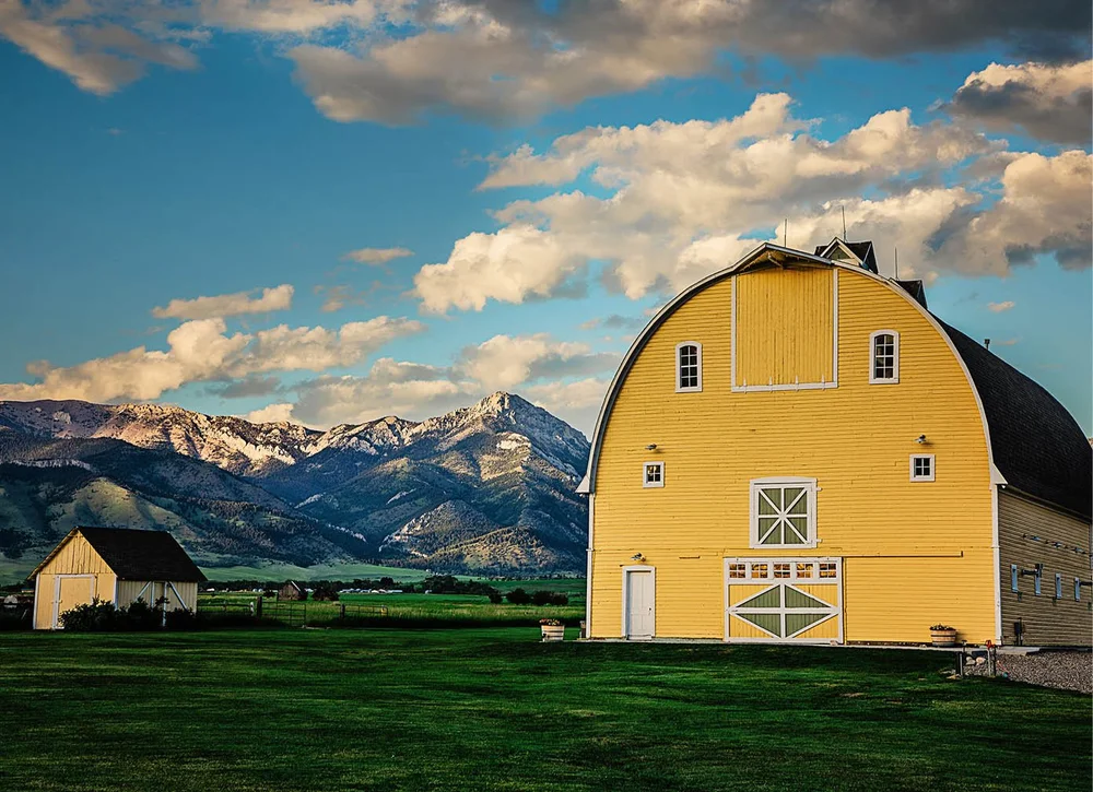 The Barn — Big Yellow Barn