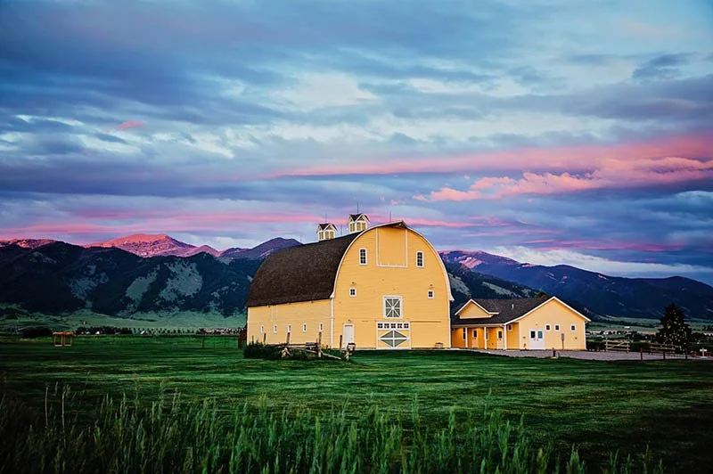 Big Yellow Barn