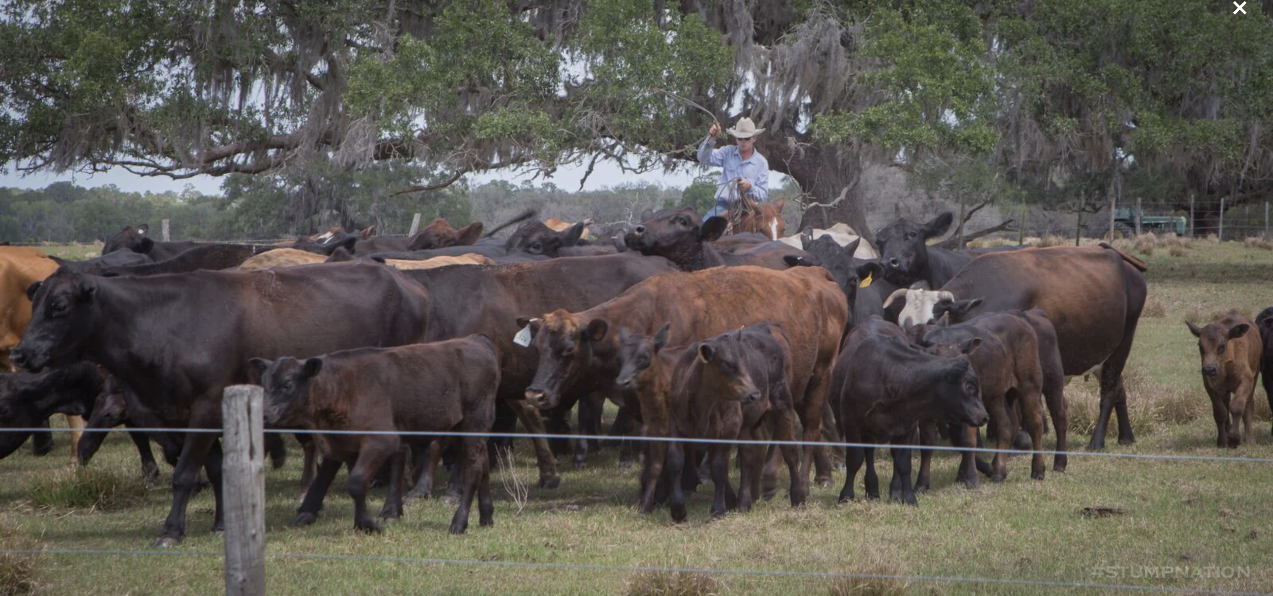 Florida Cracker Feed Lot - Webster, FL | Discover Local Flavors - Visit ...