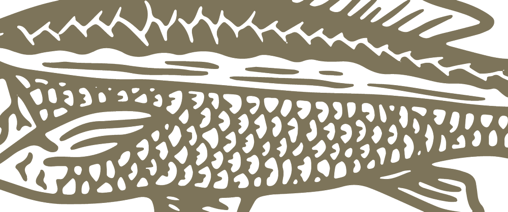 Florida Cracker Monkey Bar - Homosassa, Florida — FLORIDA CRACKER - The ...