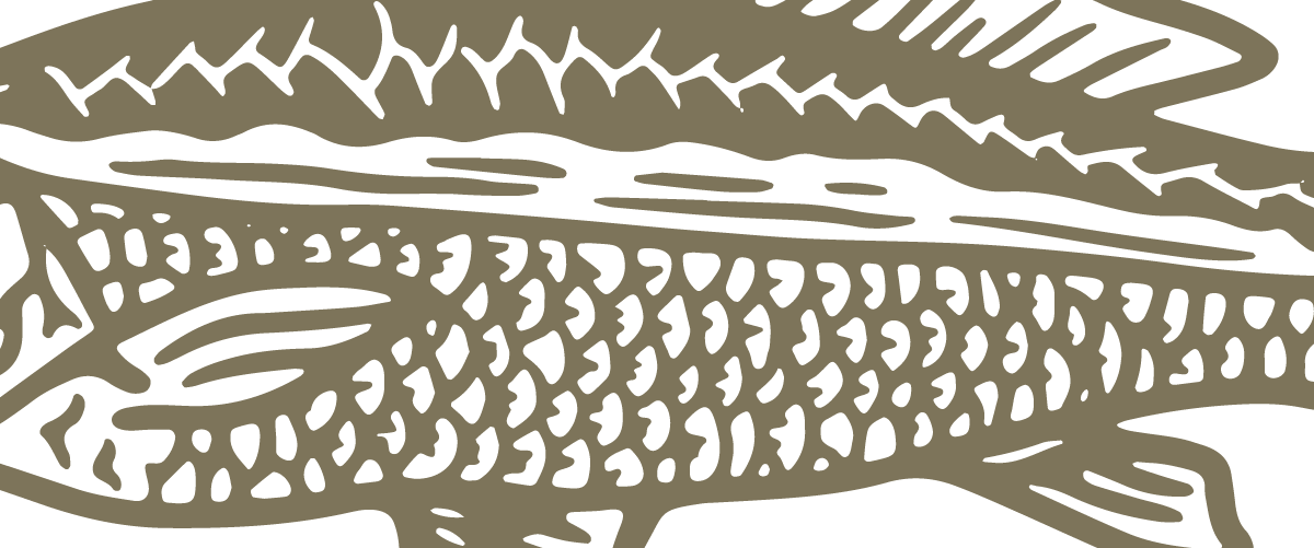 Florida Cracker Monkey Bar - Homosassa, Florida — FLORIDA CRACKER - The ...