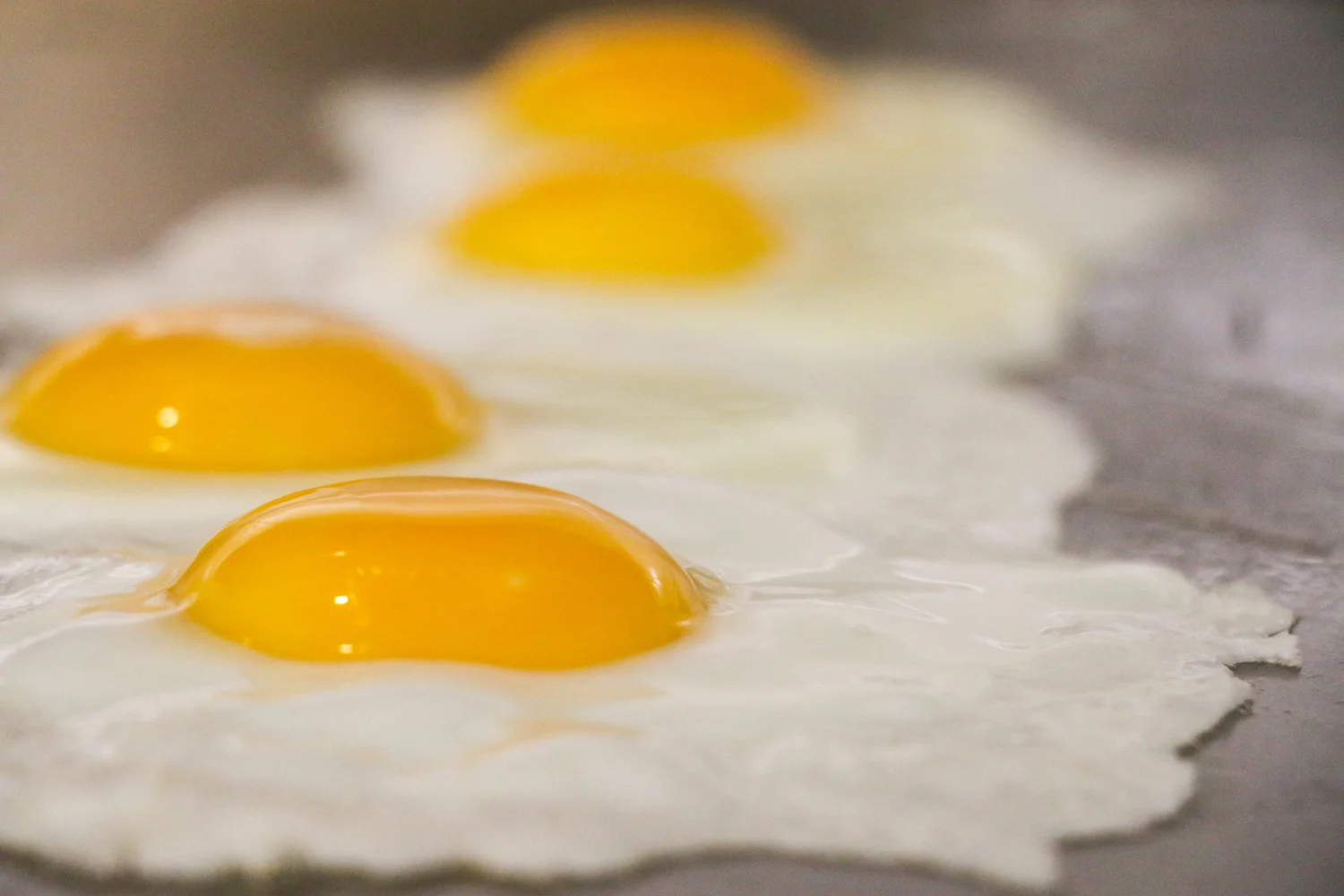 Florida Cracker Kitchen - Brooksville, FL — FLORIDA CRACKER - The ...