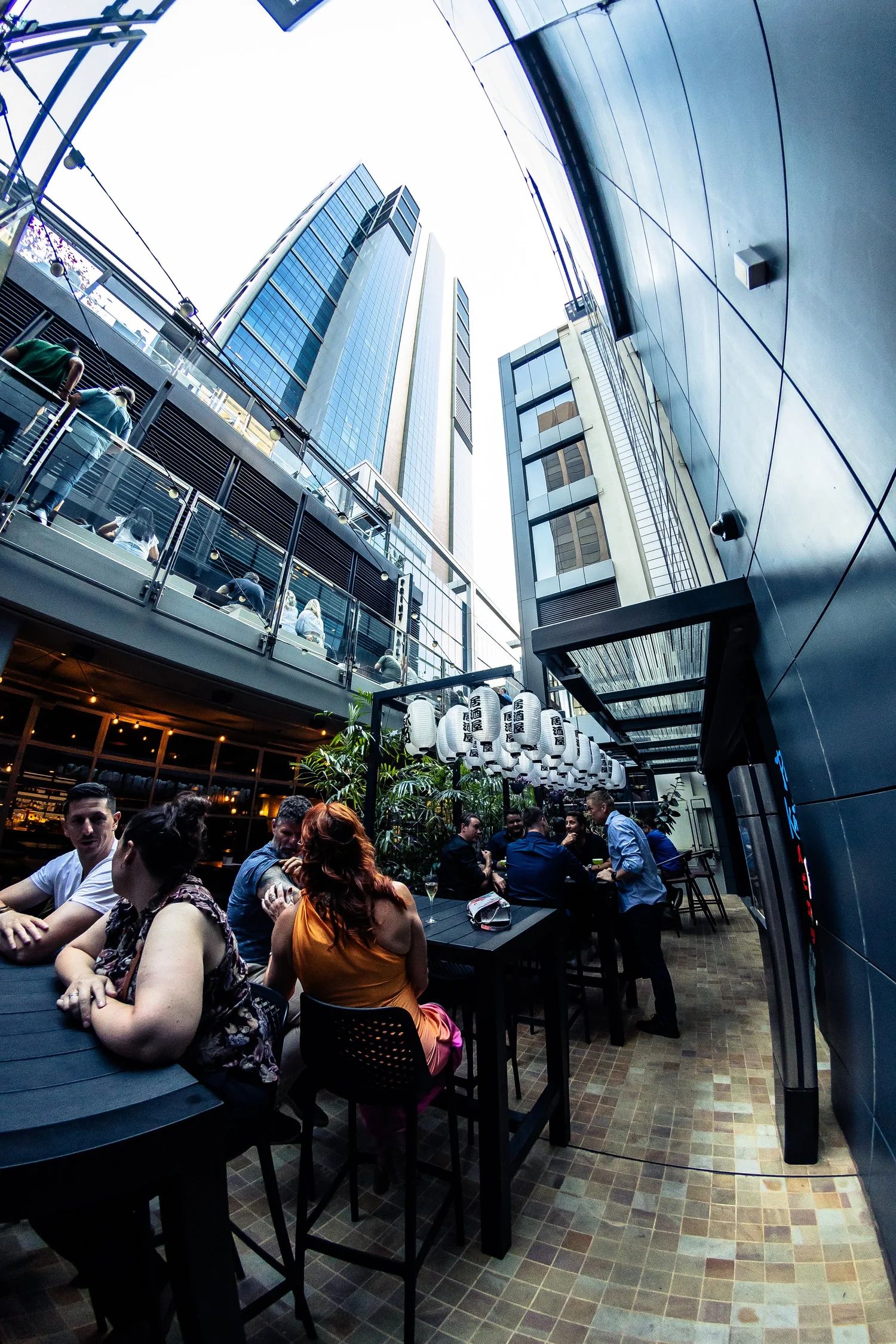 Papi Katsu – Best Japanese Fusion Restaurant in Perth | Omakase & Cocktails