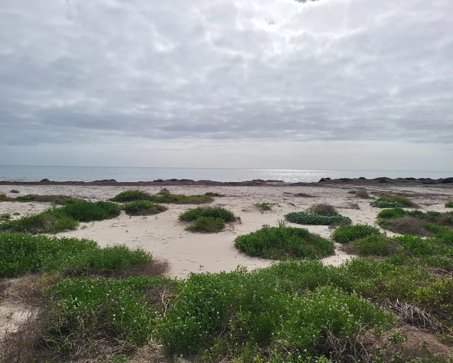 Gallery 2 — Busselton Beach Resort