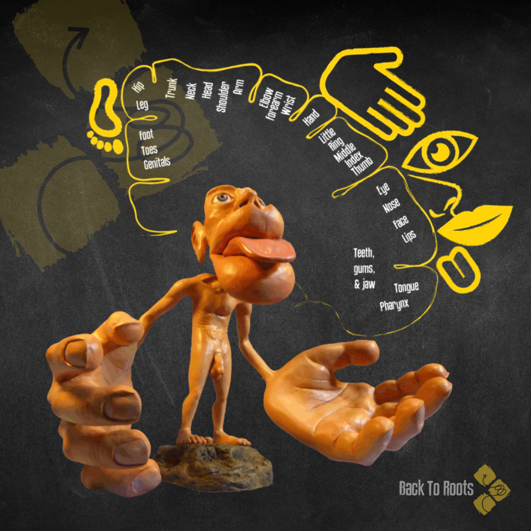 B2R Internship Notes. Body In The Mind — Back To Roots