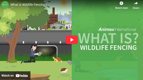 Animex Wildlife Fencing | Wildlife Exclusion Fencing & Connectivity