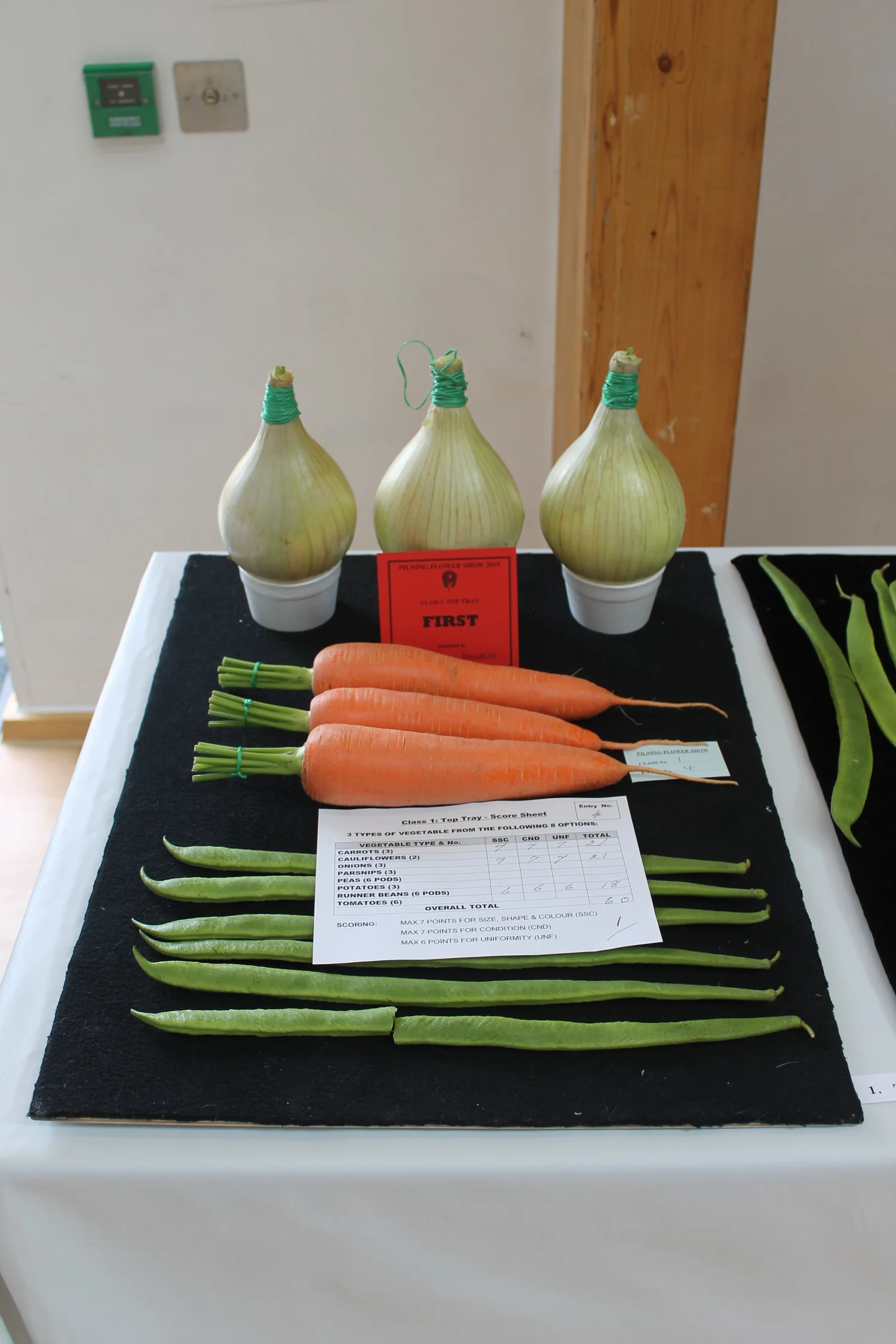 Pilning Flower Show Competition Categories — Pilning Flower Show