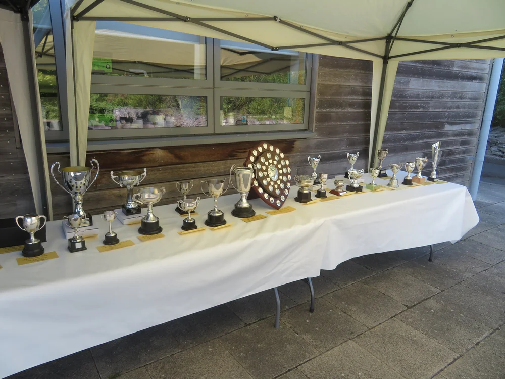 Previous Results — Pilning Flower Show