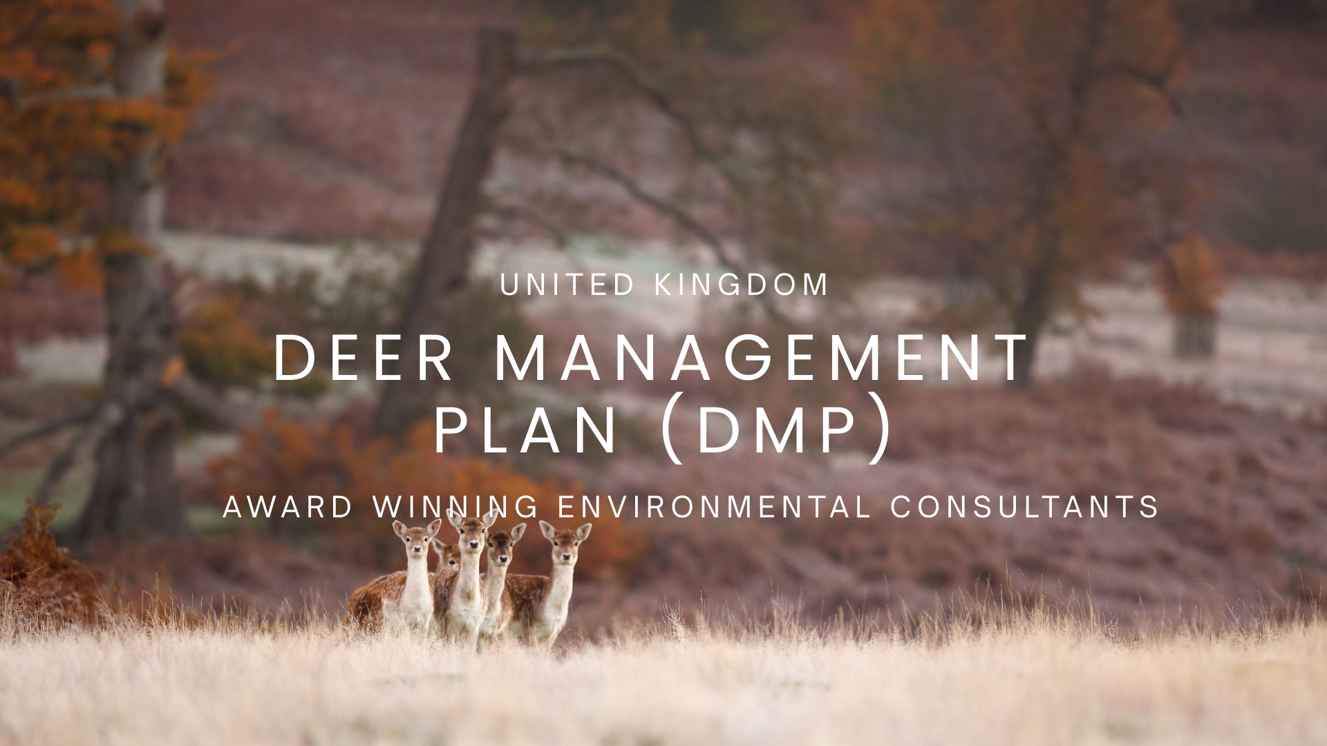 UK DEER MANAGEMENT PLANS (DMP) | SUSTAINABLE DEER MANAGEMENT ...