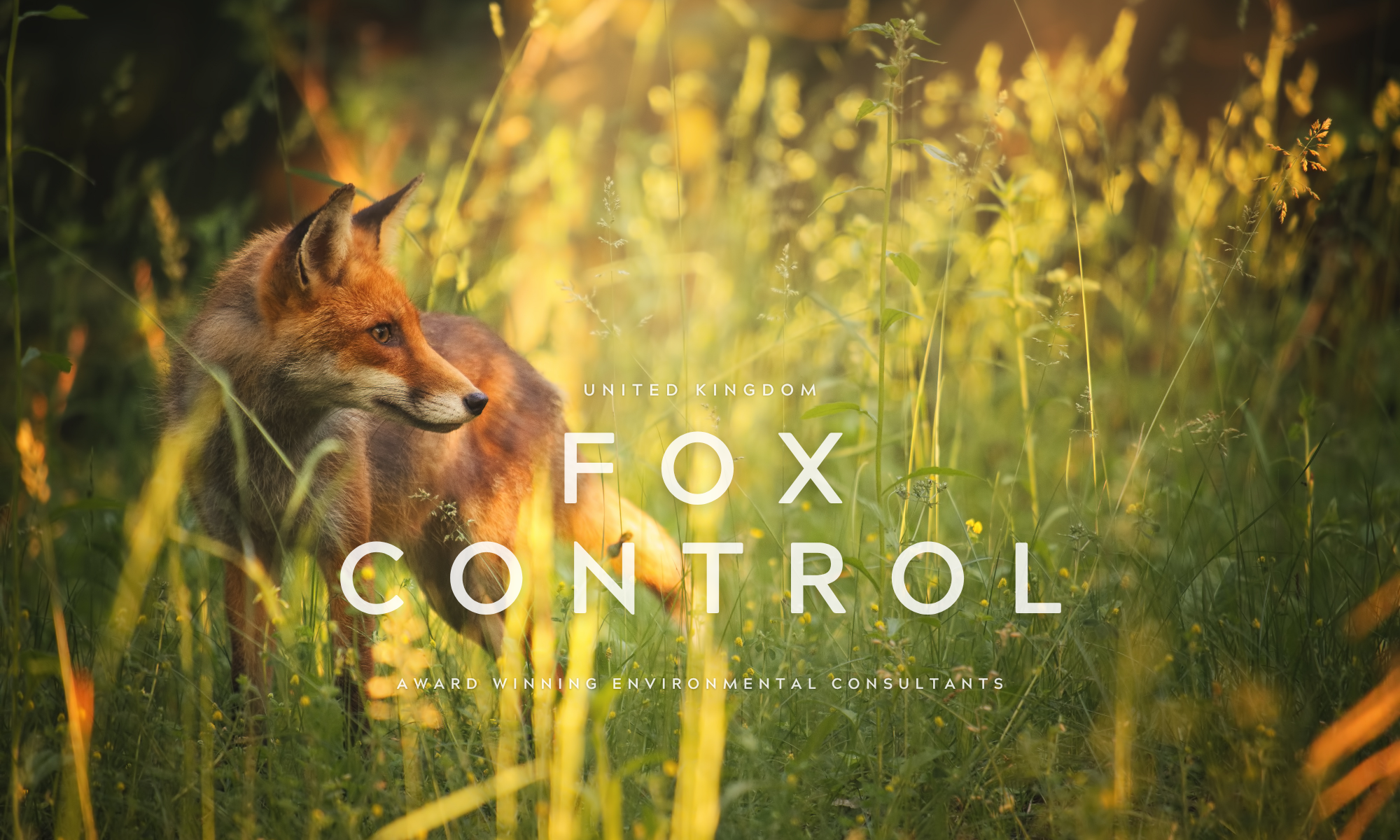 Fox Control — WILDFORCE LTD