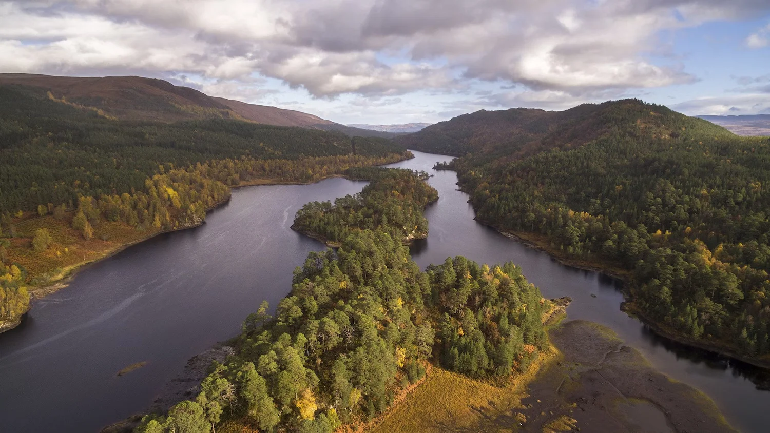 Lantern donates 1% of revenue to rewilding and urban nature projects ...