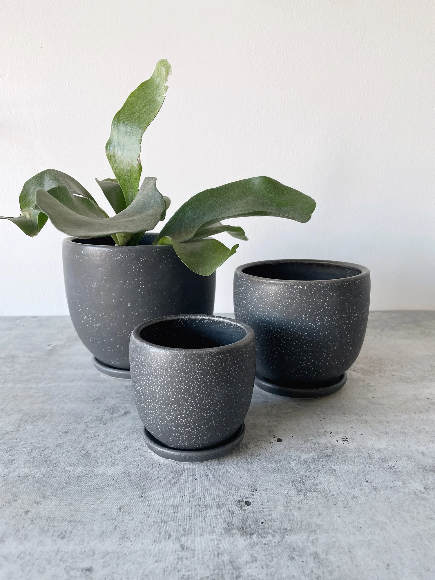 Little Fire Ceramics Handmade Tabletop Planter with Drainage — Little ...