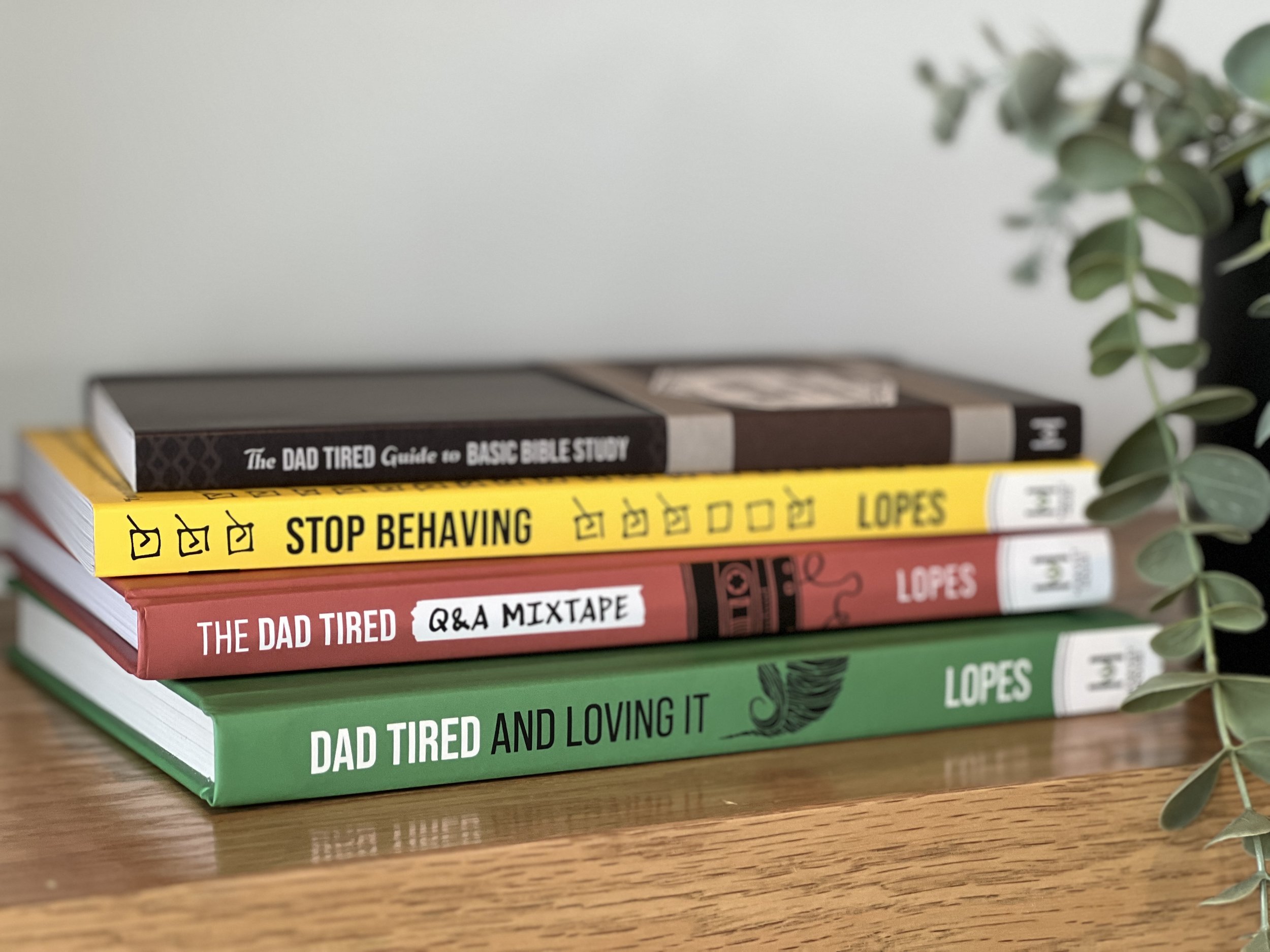 Books — Dad Tired: Lead Your Family Well