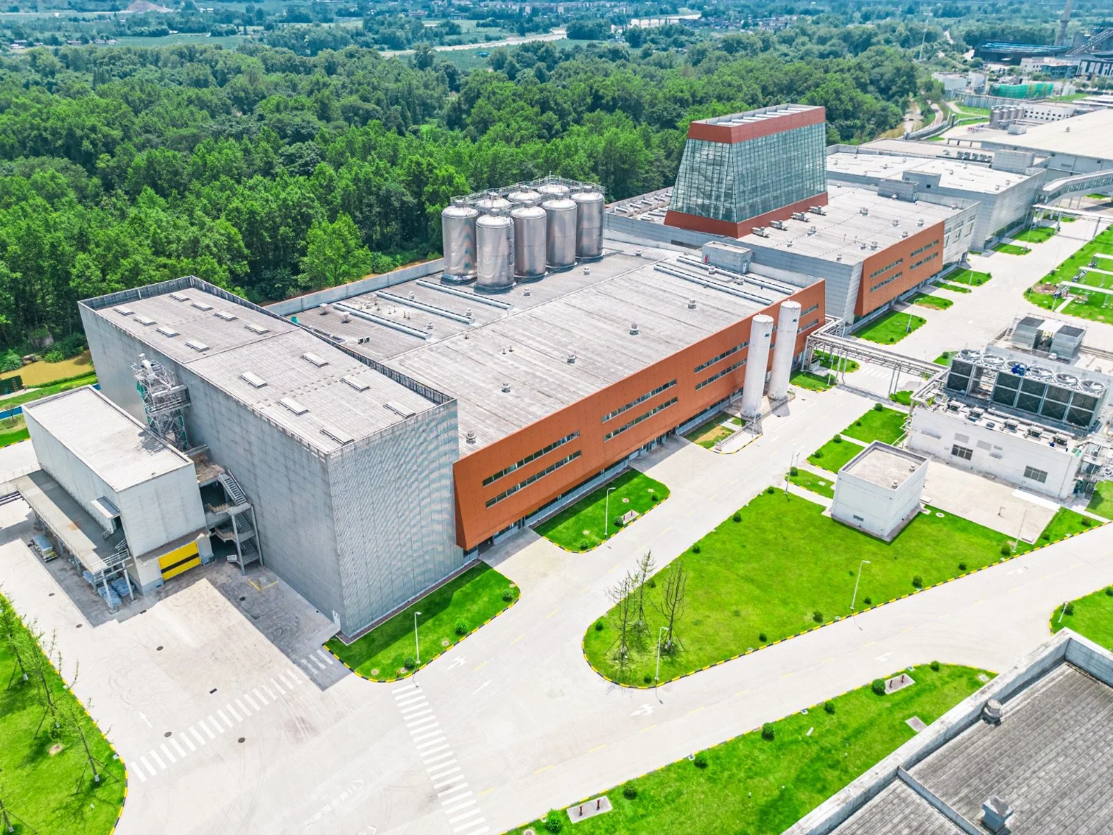 The rise of the whisky market in China — Barley