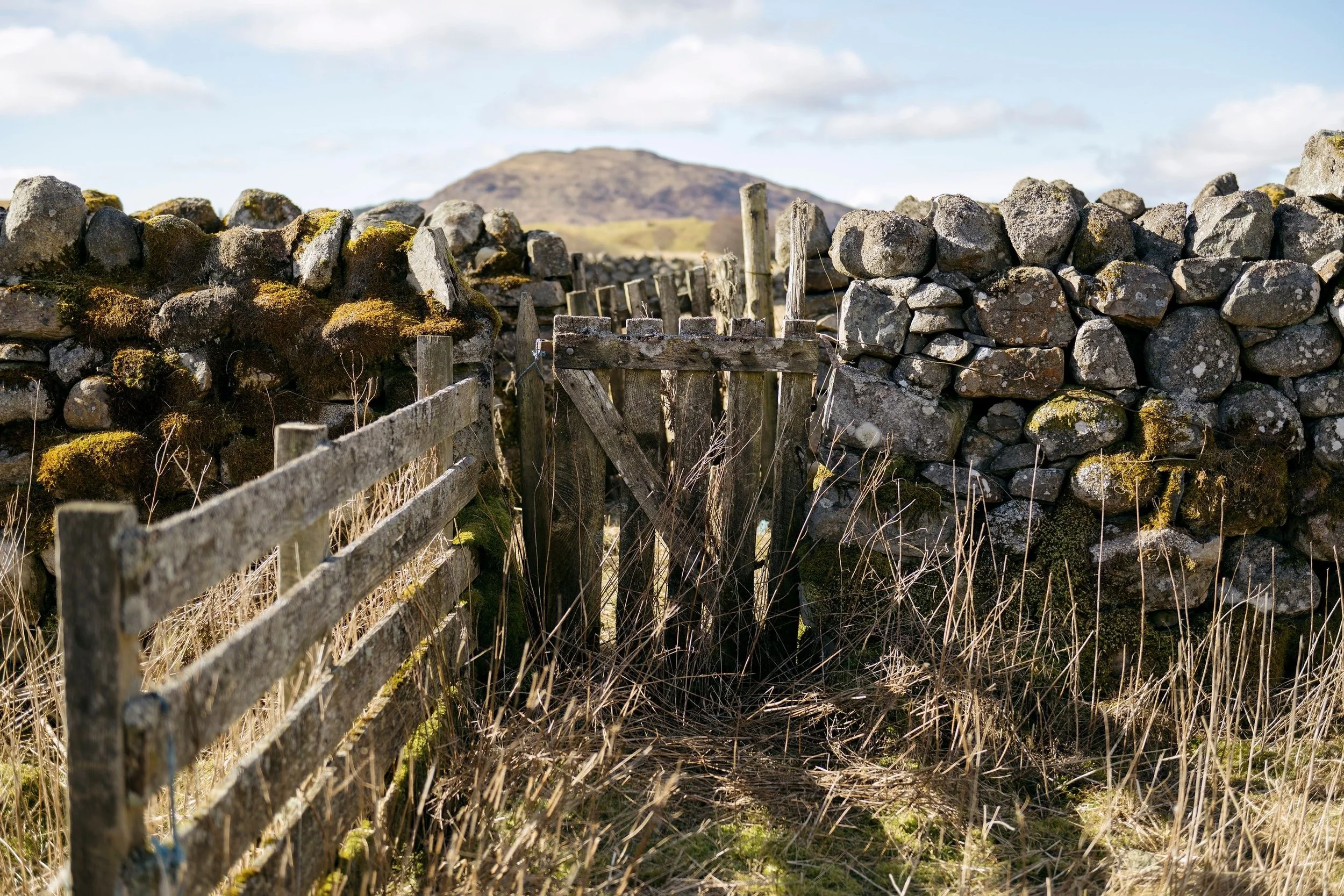 Drystone walling brought me peace, says Kristie de Garis — Barley