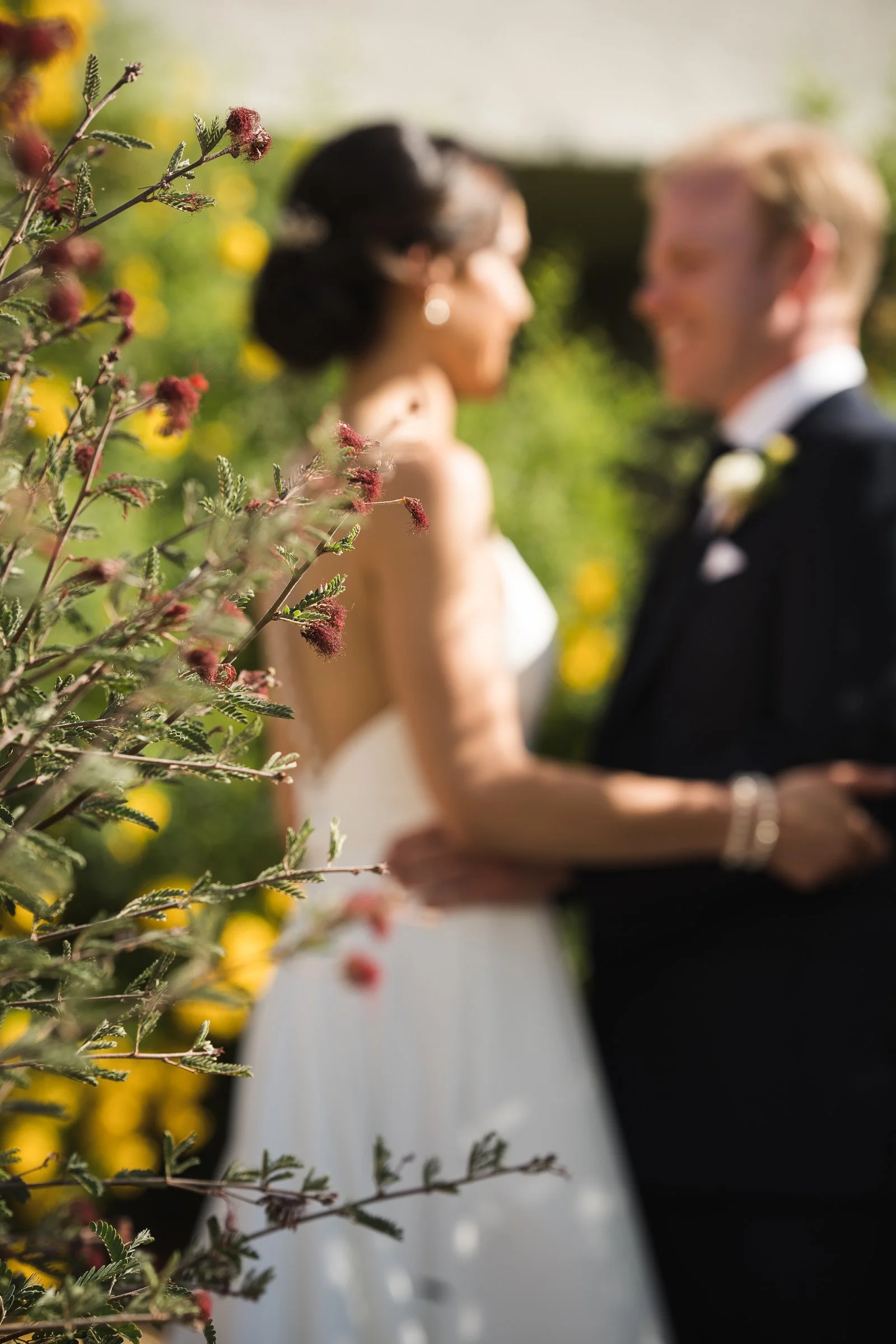 Megan & Adam — Hitch & Sparrow