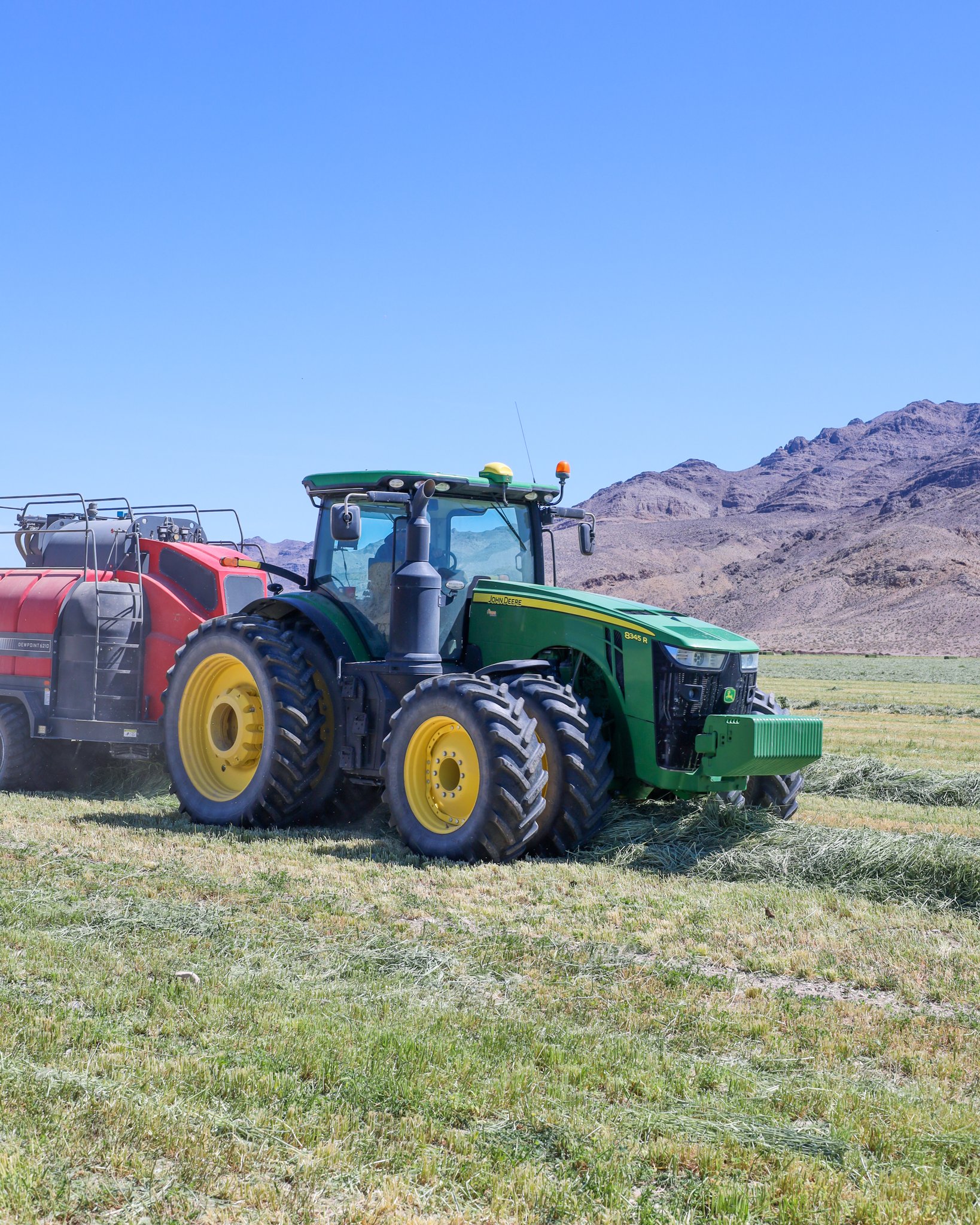 Cannon Ranch | Elite Angus/Hereford Cattle & Quality Hay