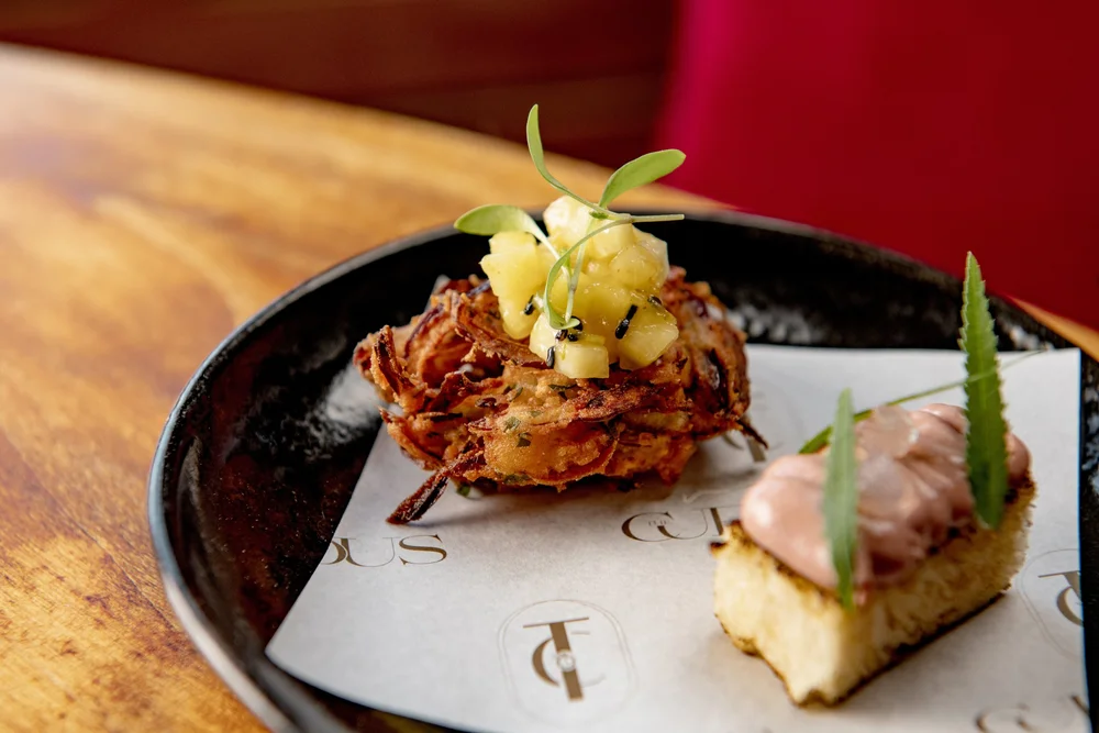 Gallery 1 — The Curious