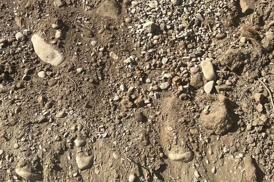 Topsoil, Sand, Mulch Near Me in Dresher, Limerick, Pottstown, Gap ...