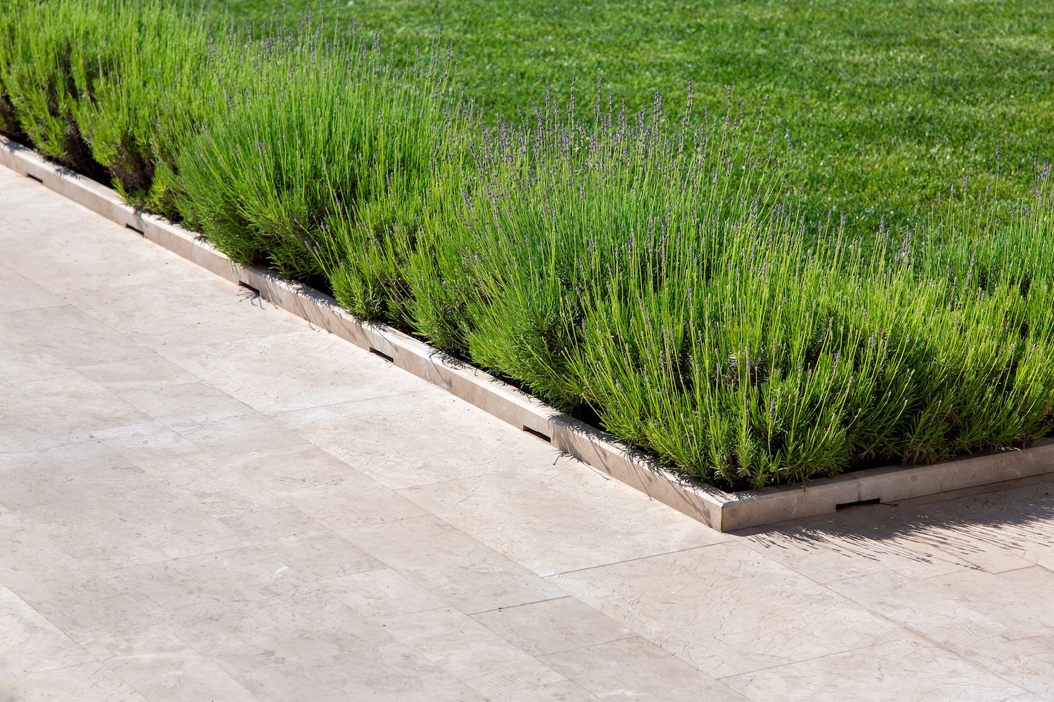 Commercial Lawn and Landscape Services Wylie TX | Dyna-Mist