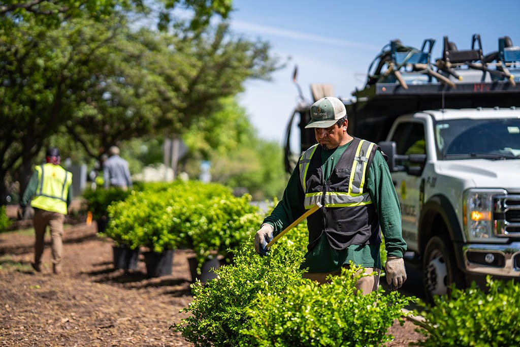 5 Benefits of Commercial Landscaping for Loudoun County, VA Educational ...