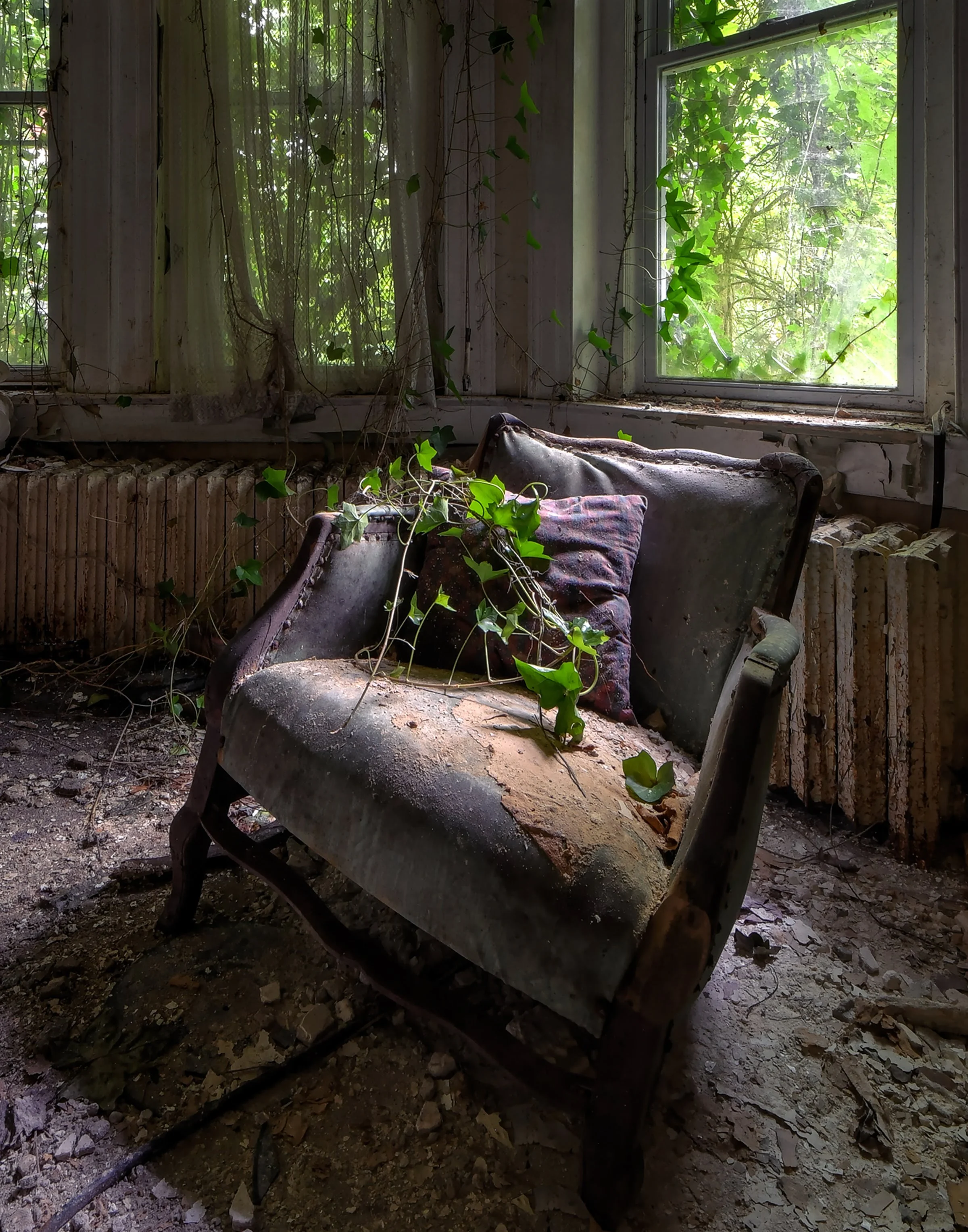 Abandoned Places Reclaimed by Nature — Ripe Arts